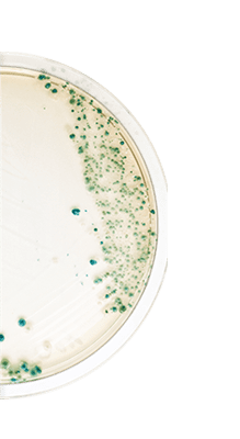 Life Science - Kinematica AG